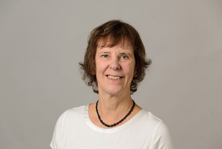 Faculty | Gladstein Family Human Rights Institute